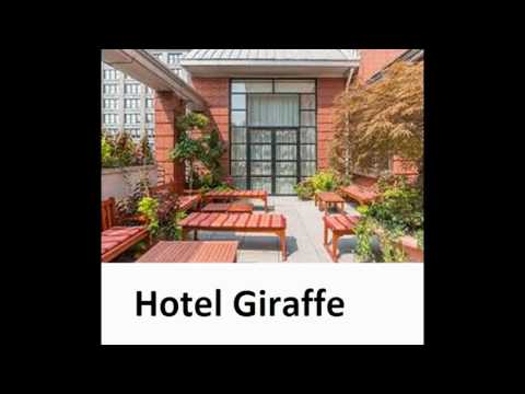 7 Best Boutique Hotels in New York City You Must Stay
