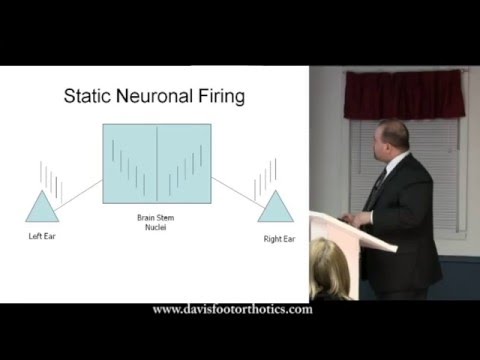 Clinical Update on Vestibular Rehabilitation: Does It Really Work