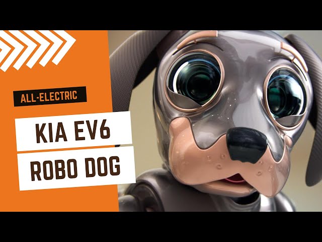 Kia EV6 and Robo Dog: A Super Bowl Commercial That Captivated Audiences ...