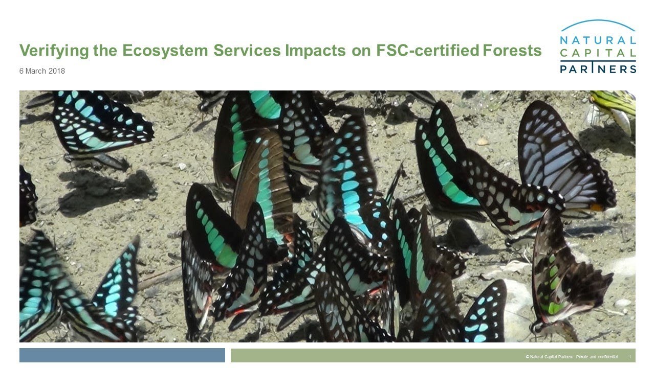 Verifying the Ecosystem Services Impacts on FSC-certified Forests