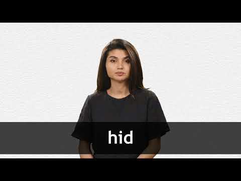 HID definition in American English | Collins English Dictionary