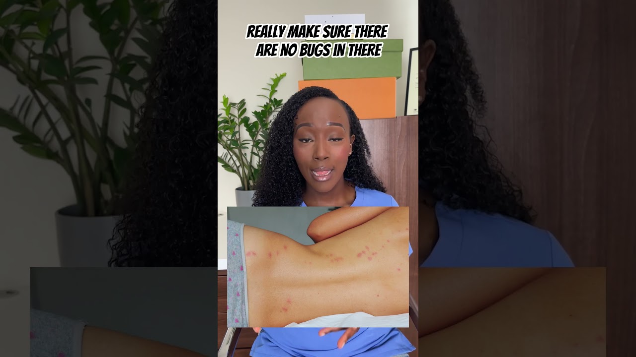 Understanding Bed Bugs and Effective Strategies for Eradication