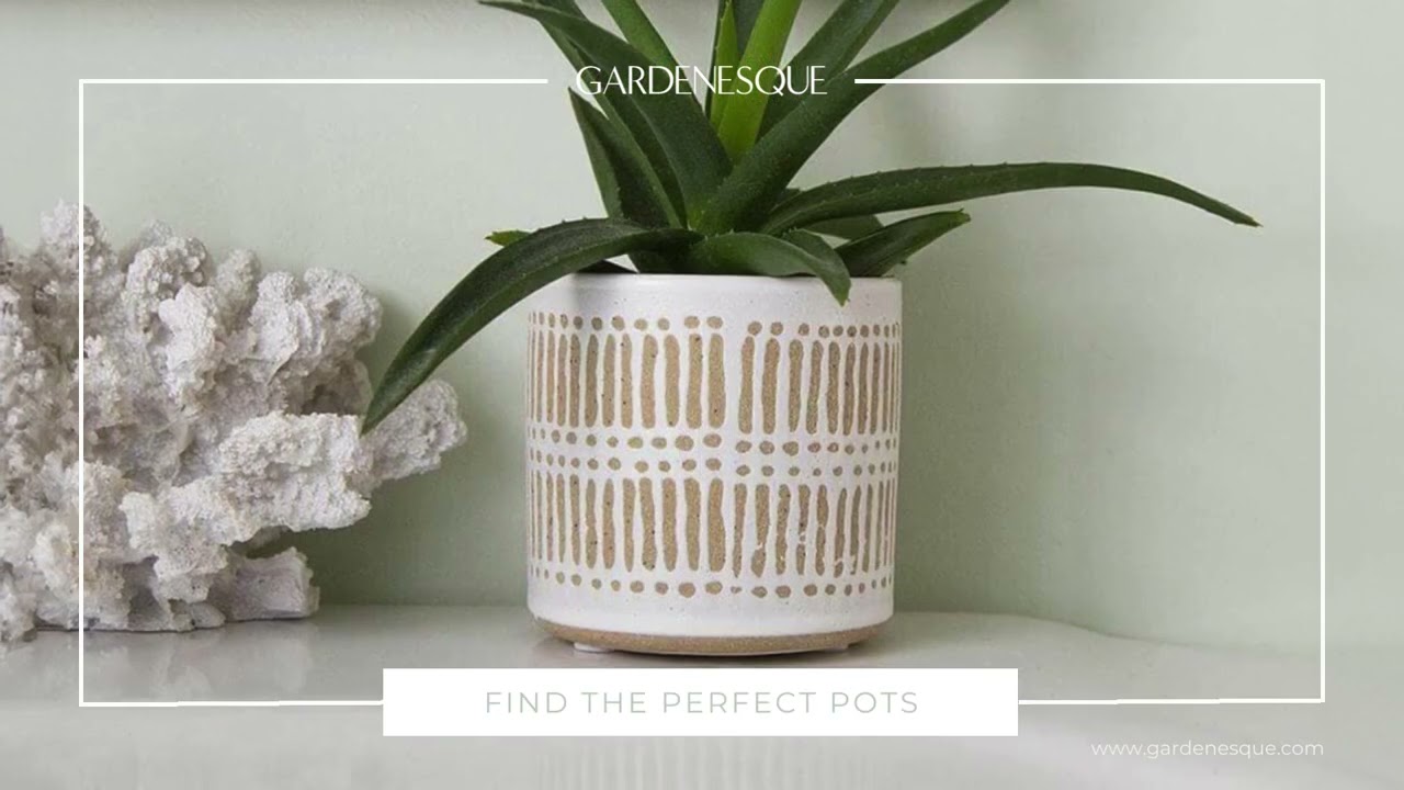 Indoor Pots for Beautiful Homes | Indoor Styling Trends | Gardenesque