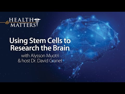 Using Stem Cells to Research the Brain - Health Matters