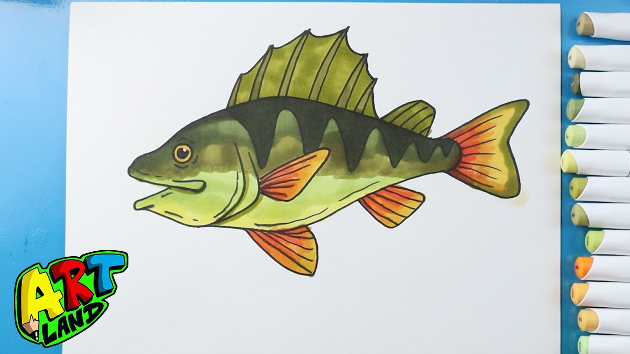 How to Draw a Perch