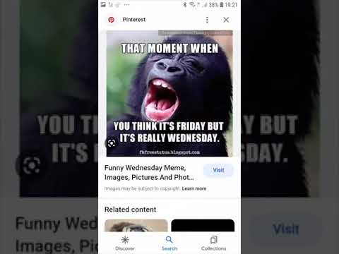 🤣funny monkey memes haha🤣 #funny #memes