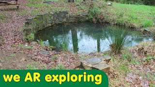 3 Best Hiking Trails in Little Rock, AR - Expert Recommendations