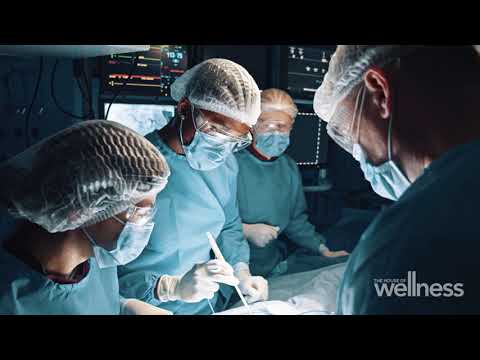 How the funnel web spider is saving lives | Season 5 | The House of Wellness