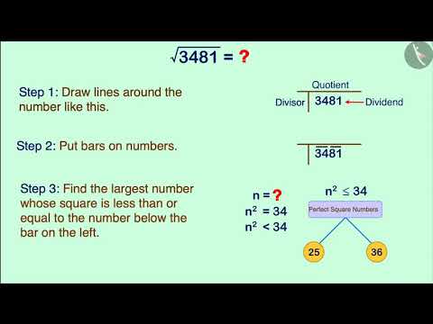 Finding square root of a number by Division Method | Part 1/3 | English | Class 8