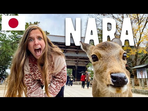 EXPLORING NARA JAPAN - The Land Of Deer