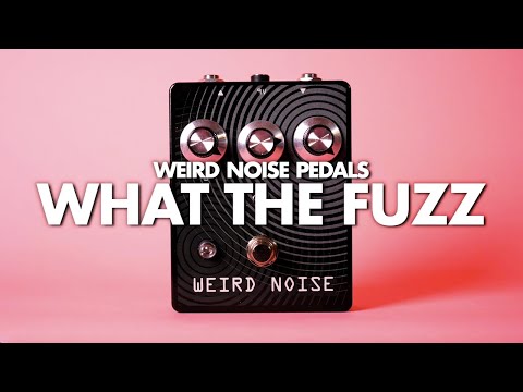 Weird Noise What the Fuzz | Reverb