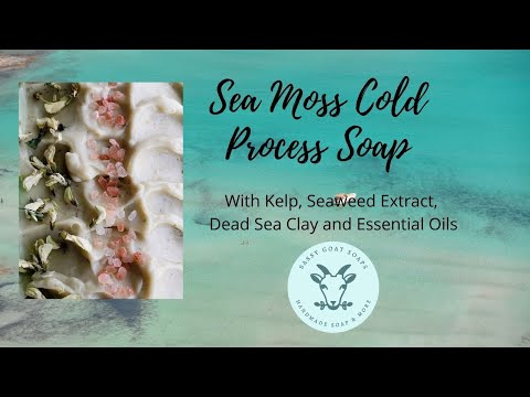 Making an all-natural sea moss, kelp, seaweed extract goat milk soap with essential oils.