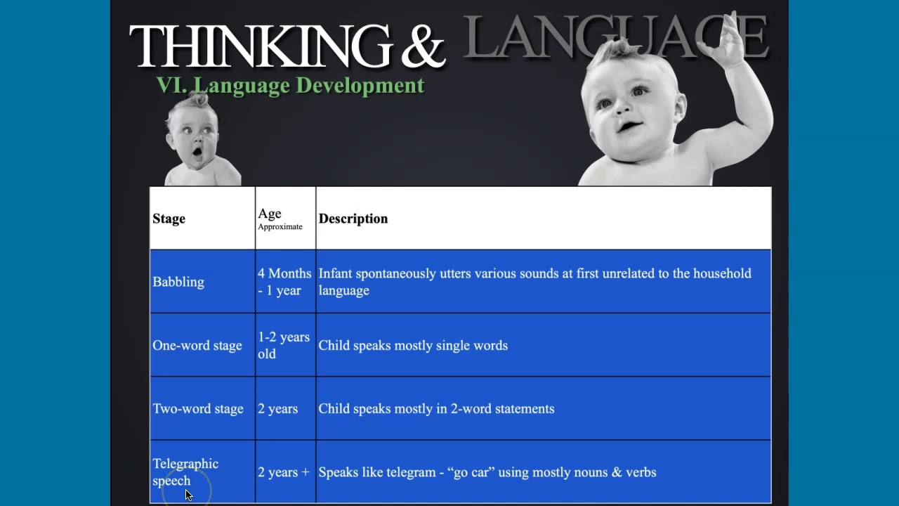 AP Psychology Unit 5 Thinking & Language
