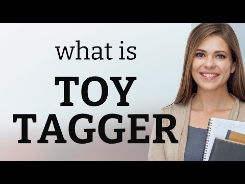 Unraveling the Meaning of "Toy Tagger"