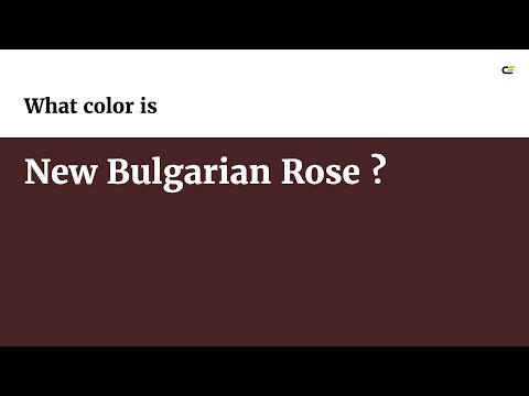 New Bulgarian Rose color #482427 hex color - Red color - Cool color 482427