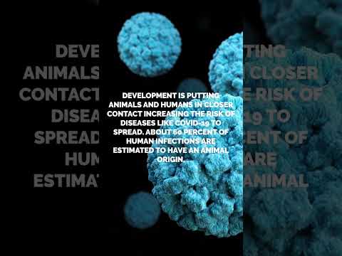 The Impacts of Nature Loss and Degradation