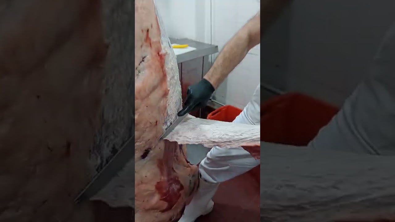 TROZADO/DEPOSTE 1/2 RES VAQUILLONA 99 KGS #carne #meat #carniceria #frigorífico #butcher #argentina