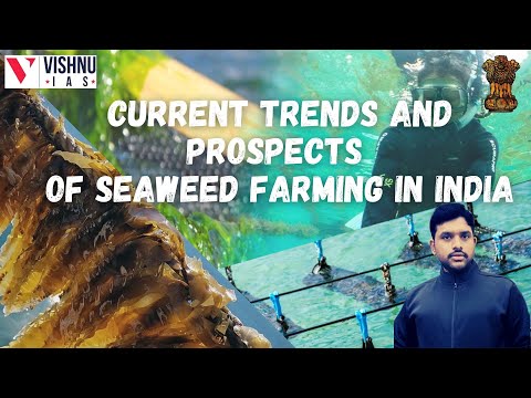 Current trends and Prospects of Seaweed Farming in India | UPSC