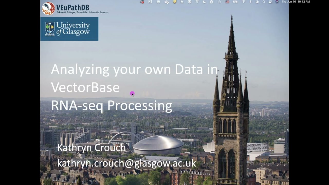 Analyzing your own data in VectorBase