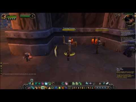 Windwalker Monk Overview/Channel Introduction
