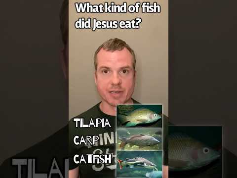 What Kind of Fish Did Jesus Eat?