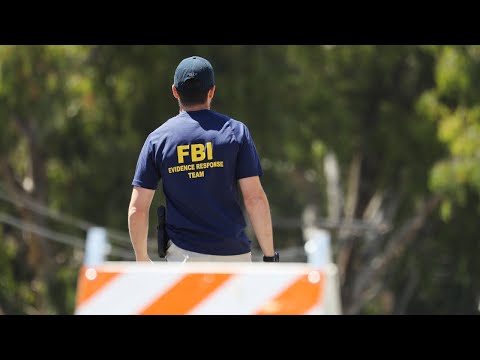 Domestic terrorism could become federal crime