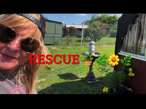 Garden Rescue Greenhouse 🌿🌿🌿