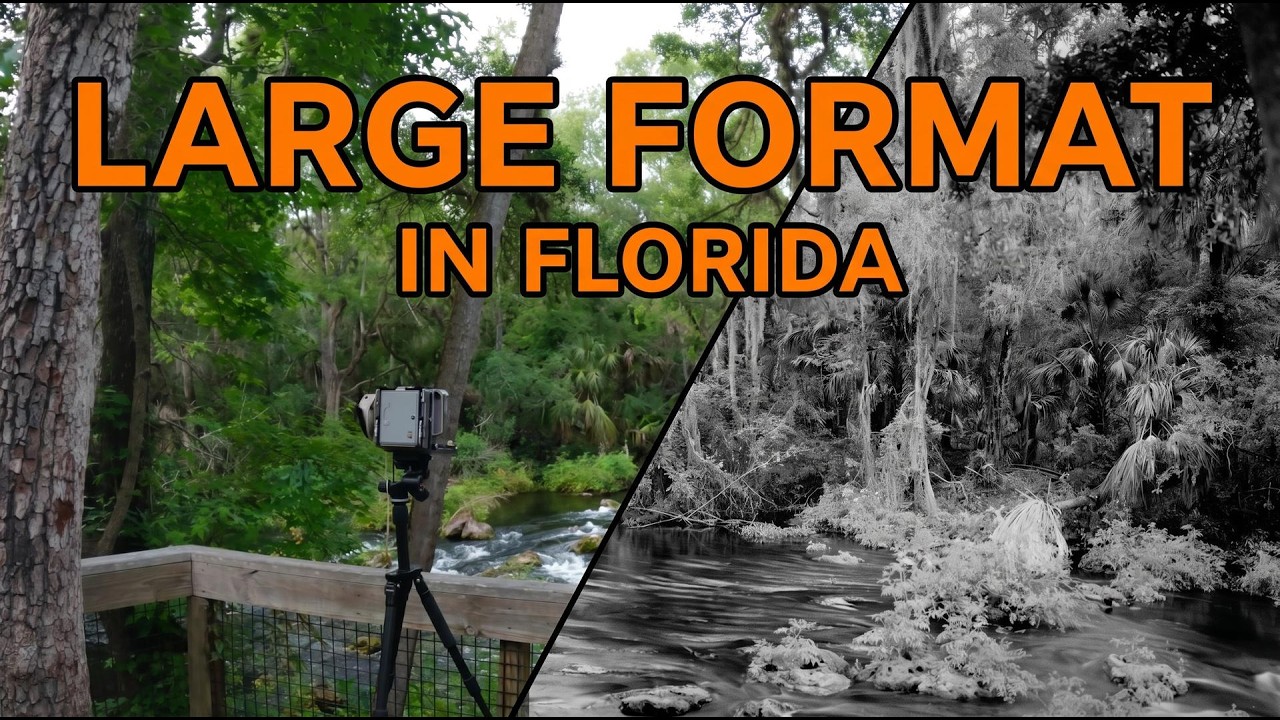 4x5 Large Format Photography at Hillsborough River State Park | Fomapan 200 & New Lens Test