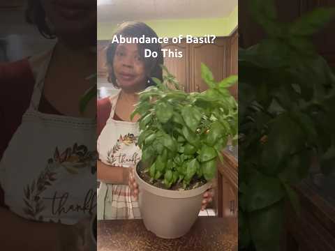 How To Freeze Basil So It Doesn’t Turn Black