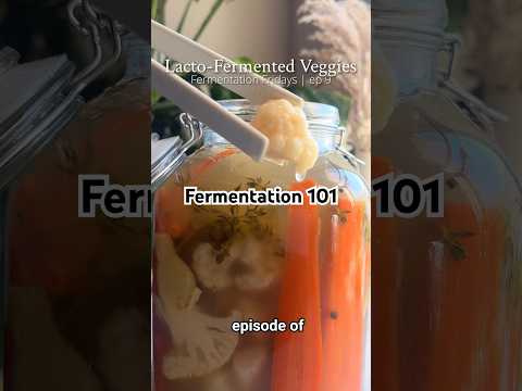 Fermentation 101 #shortsfeed #fermentation #loveyourgut #shorts