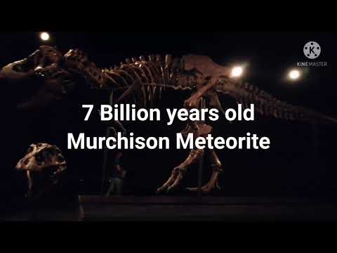 NATURAL HISTORY MUSEUM ABUDHABI EXHIBITION