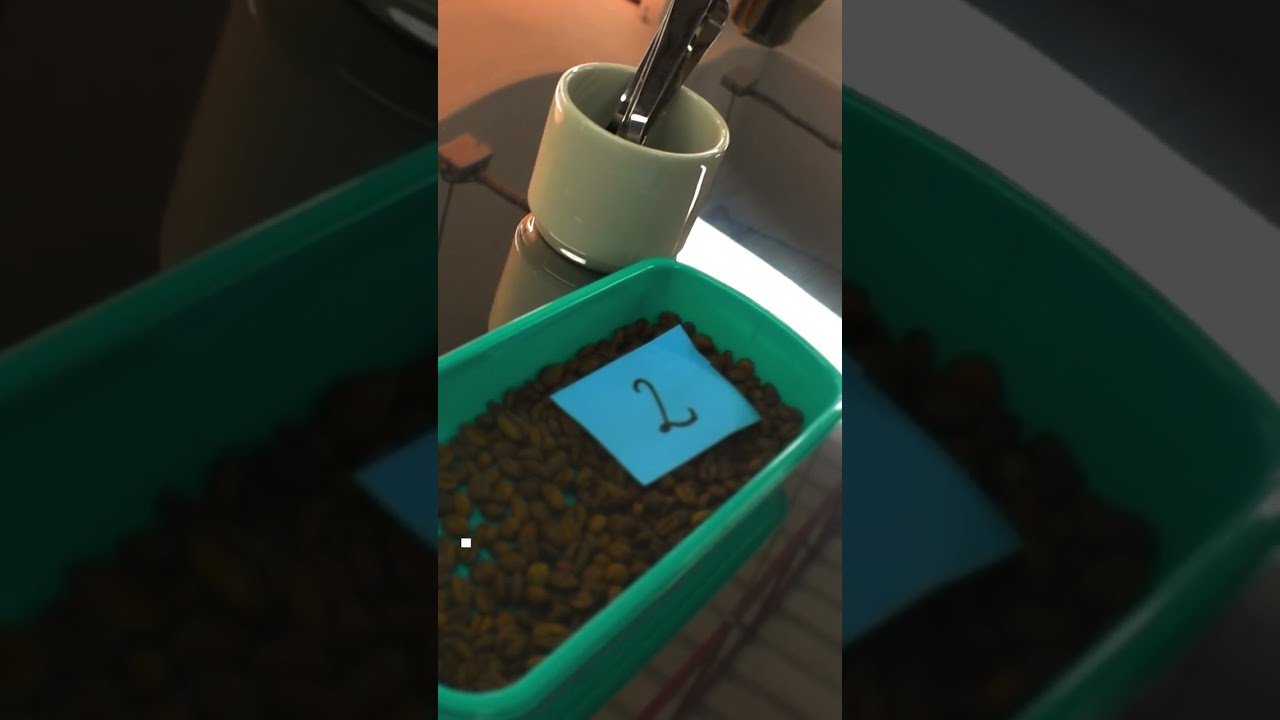 Laboratorios de café en la UCC campus Pasto