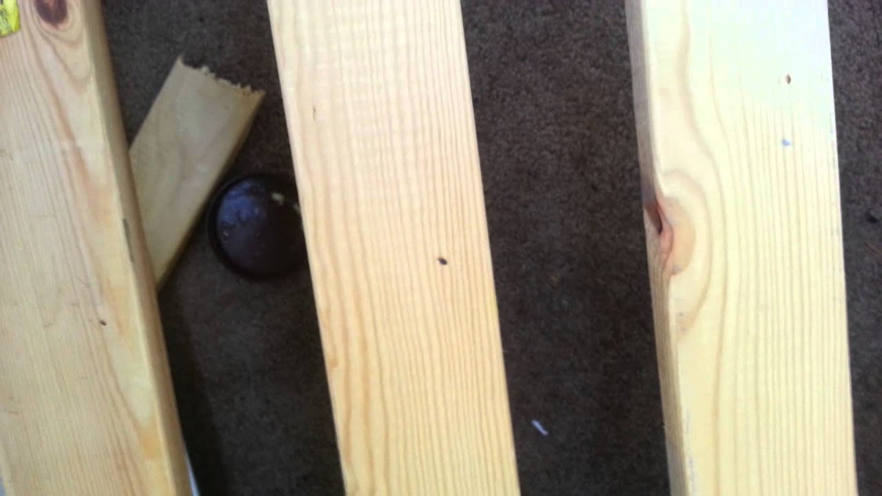 Live Bed Bugs On Mattress - Complete Kill From Heat Treatment