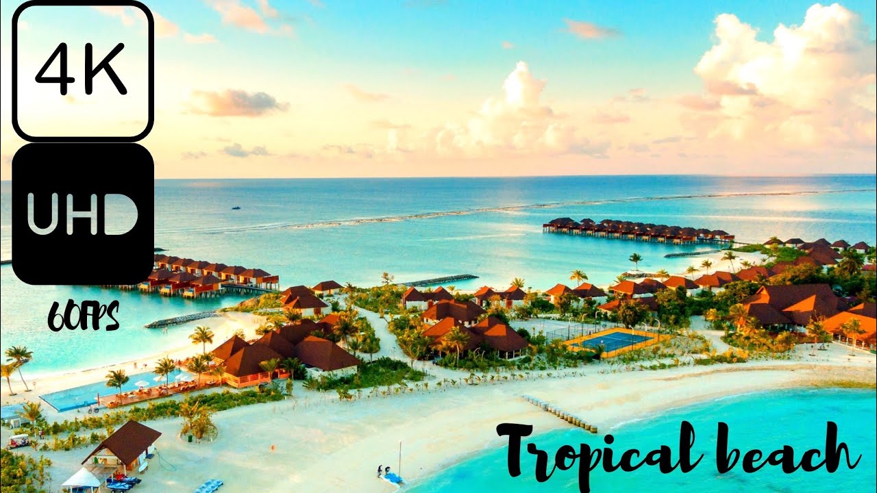 Special 4K HDR 60FPS (ULTRA HD) Dolby Vision - Tropical Beach