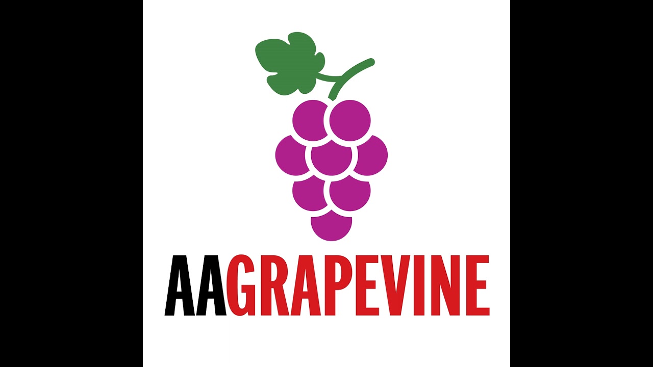 Fun in Sobriety [Season 3, Episode 8] - AA Grapevine Podcast