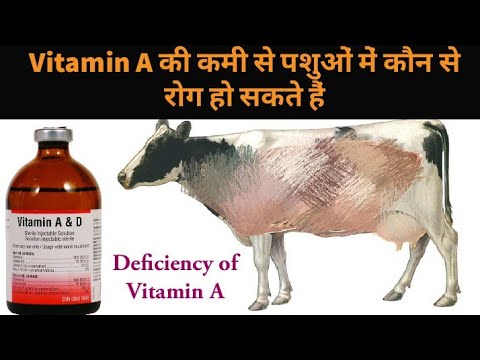 Cattle Vitamins - Cattle Supplement Latest Price, Manufacturers & Suppliers