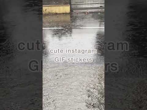 cute GIF stickers to use for Instagram stories ๐พ