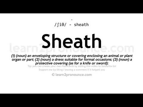 Sheath pronunciation and definition
