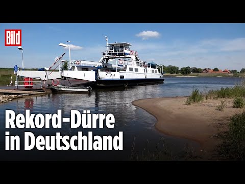 Trockenheit in Deutschland: Erste Fähre stellt Betrieb ein