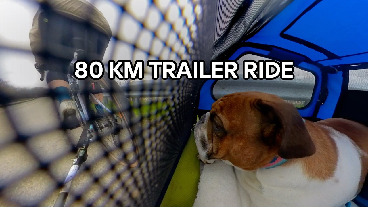 80 km Road Ride With My Dog in Trailer (Cornwall Waterfront Trail)
