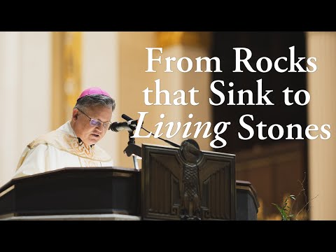 Archbishop Casey's Homily during the Mass of Installation
