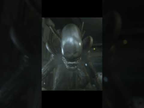 Steam Community :: Video :: When the Alien literally hunts you down ...