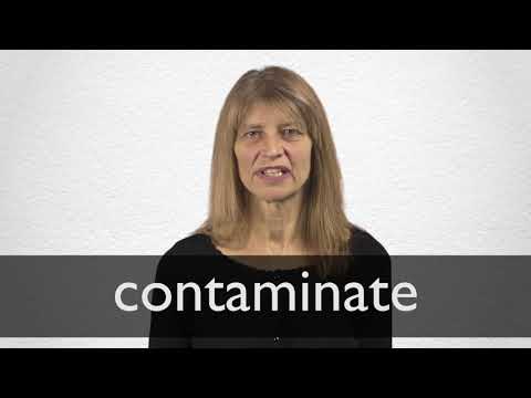 CONTAMINATE definition in American English | Collins English Dictionary