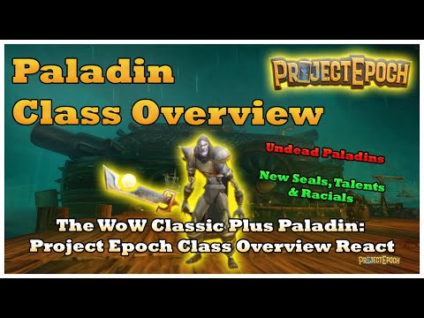 How good is Paladin on Project Epoct | Class Overview