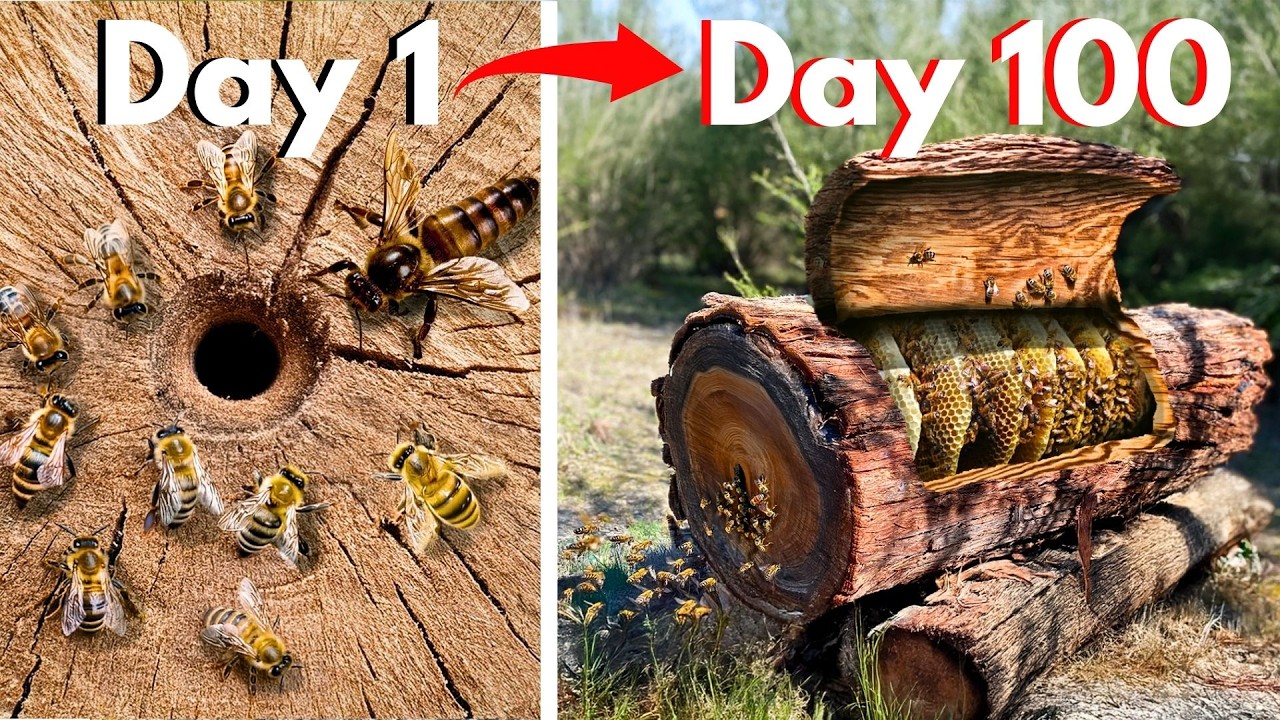 Simulating a Bee Colony For 100 days