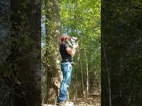 Z grip Automag