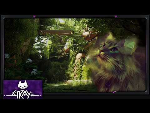 Steam Community :: Video :: Life of a Post-Apocalypse Cat 1 Stray