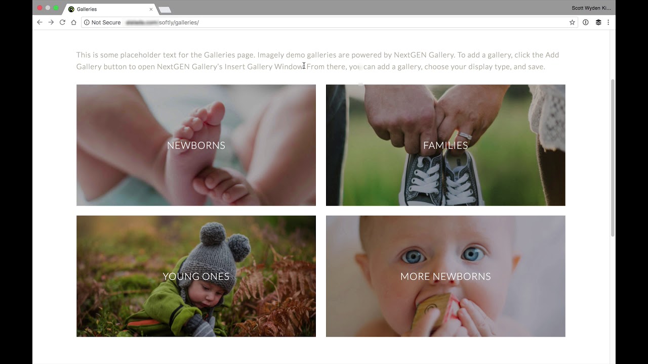 Preview: Portfolio Grid Page Template Explained