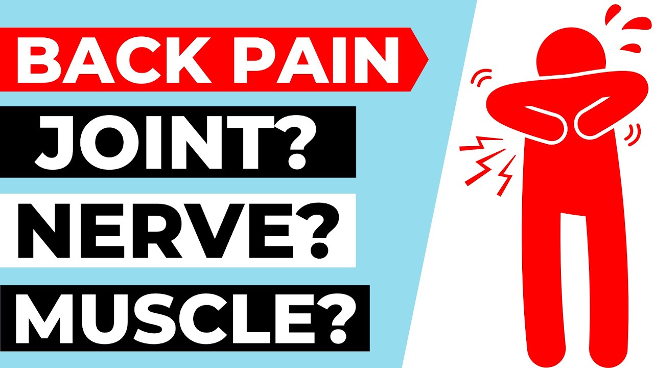3 Types of Lower back pain (What Do You Have?)