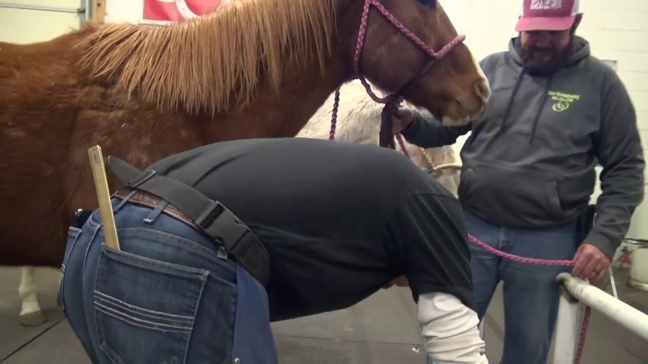 AFA Certification Demo Highlights